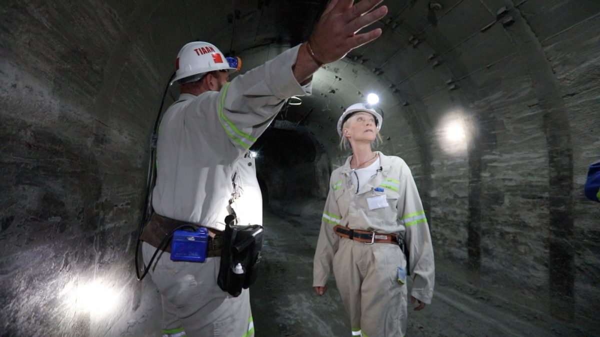 DW Arts Unveiled: Why diamonds are such objects of desire – Karin ...